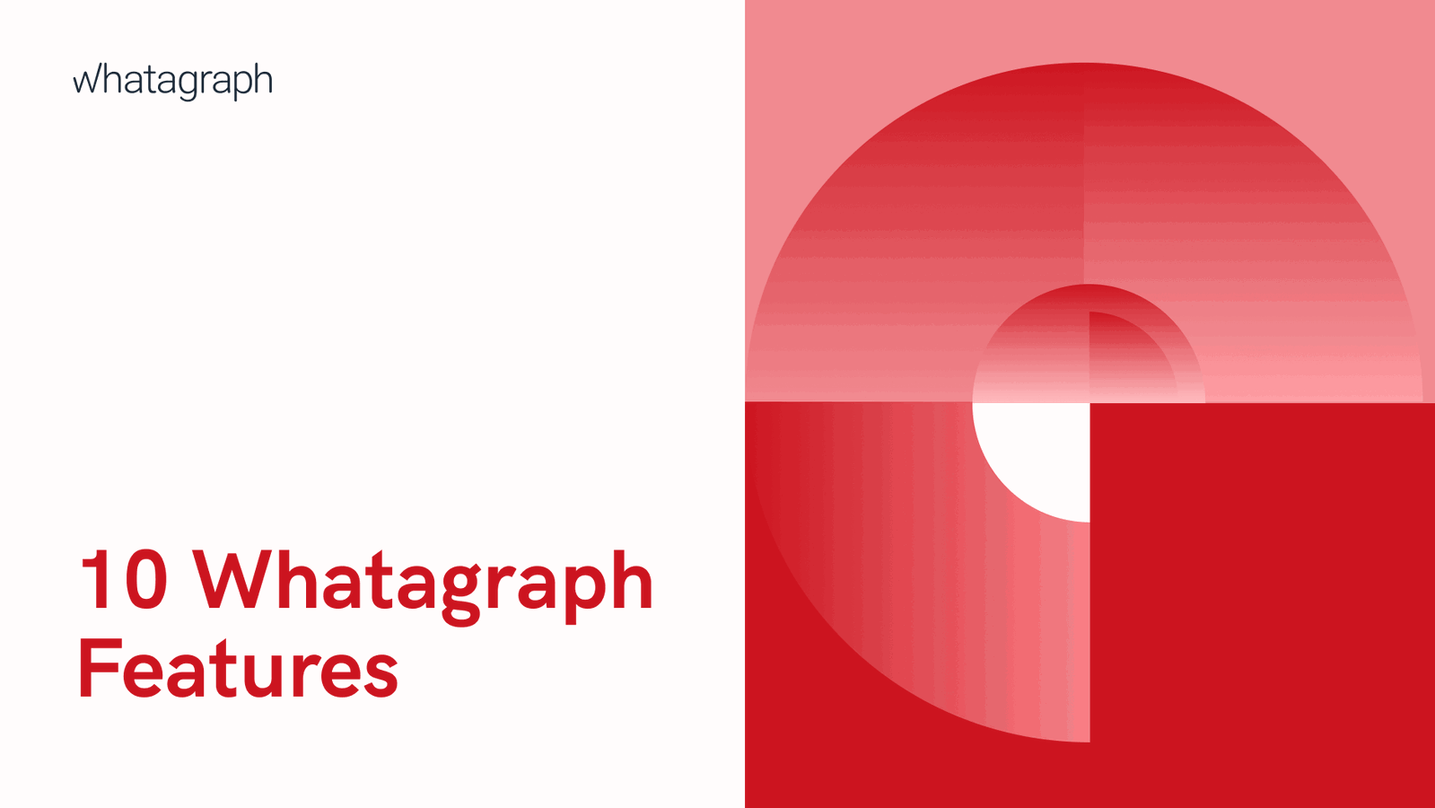 Explore 10 Best Whatagraph Features | Whatagraph