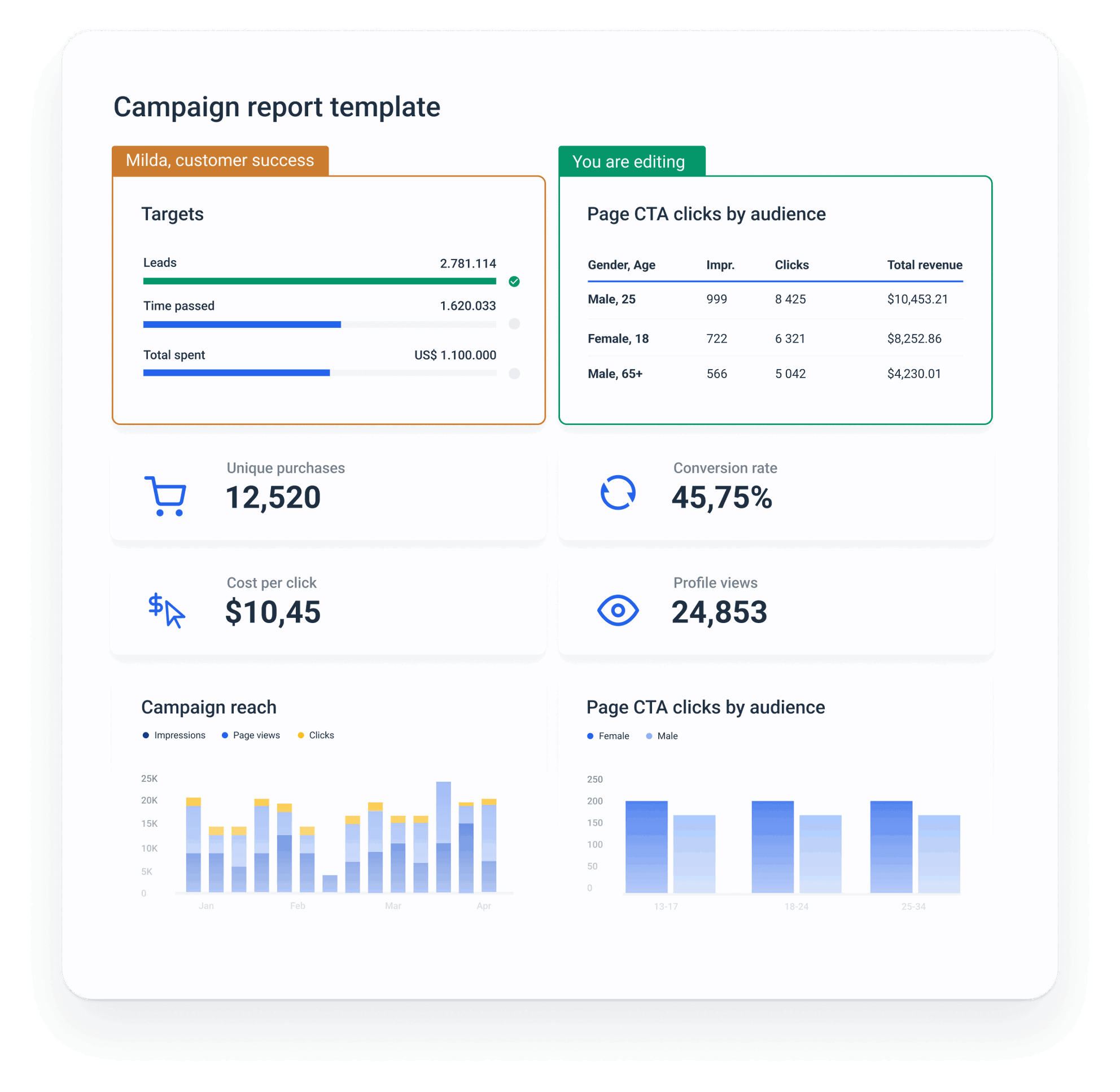 How to Create a Campaign Report for Clients [Structure & Steps ...
