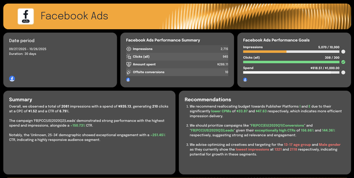 Free Facebook Ads Report Template | Campaign Report Examples | Whatagraph