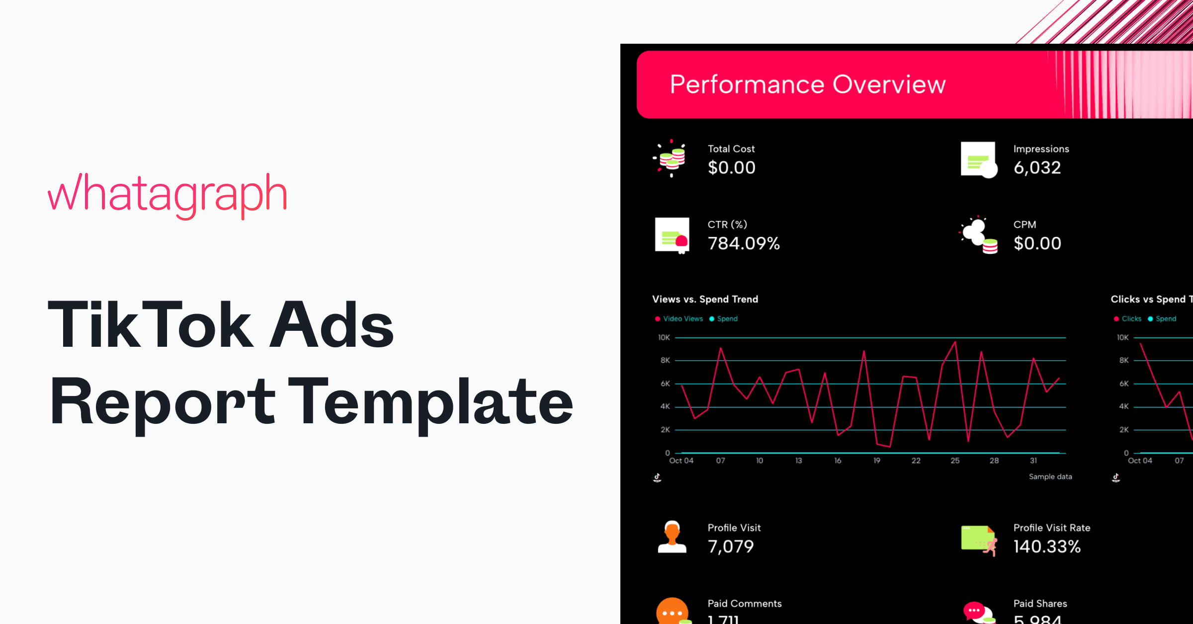 TikTok Ads Report Template | Ready in Seconds | Whatagraph