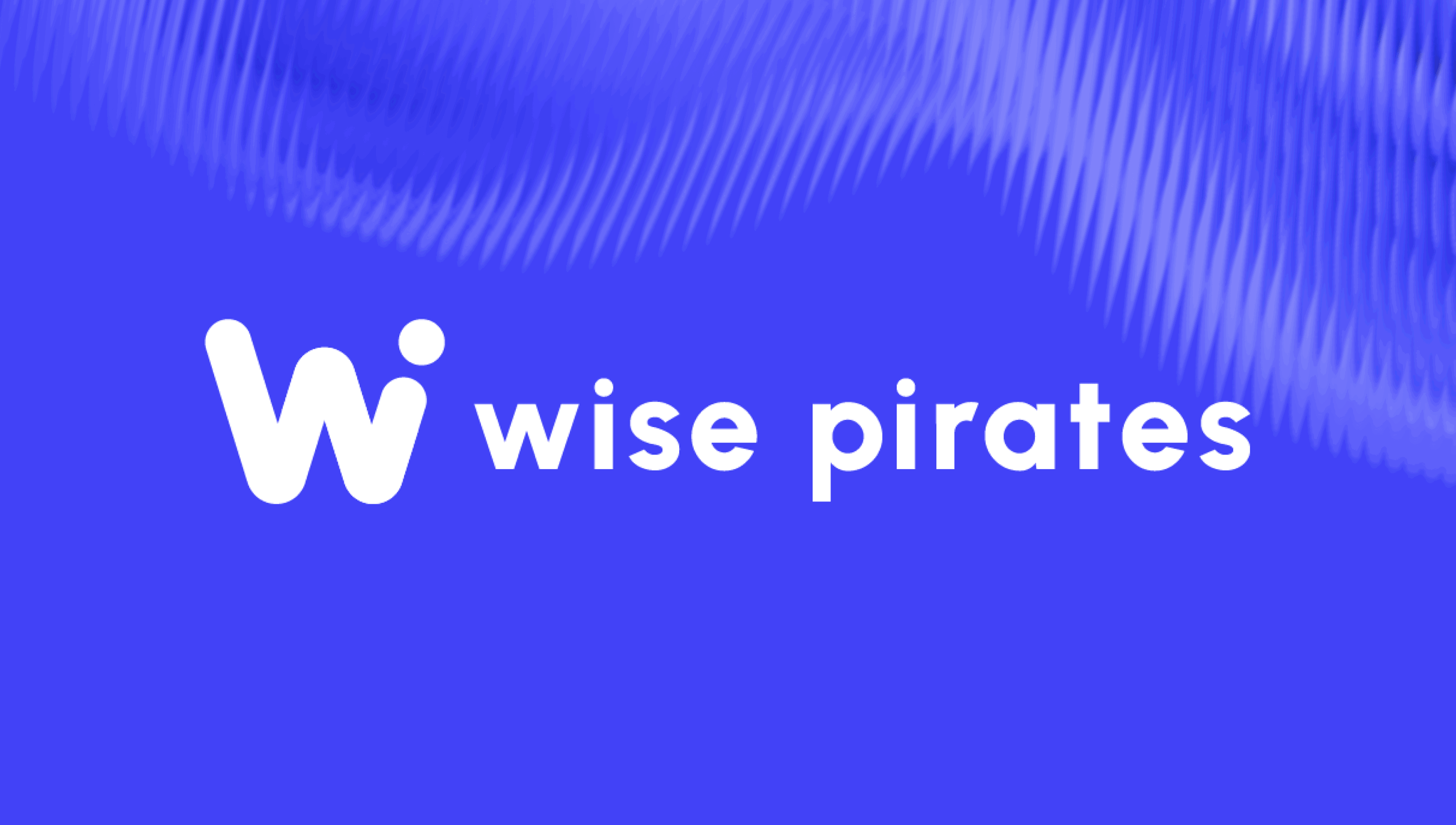 Wise Pirates Success Story Whatagraph