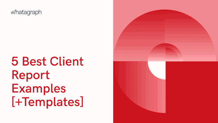 5 Best Client Report Examples | Whatagraph