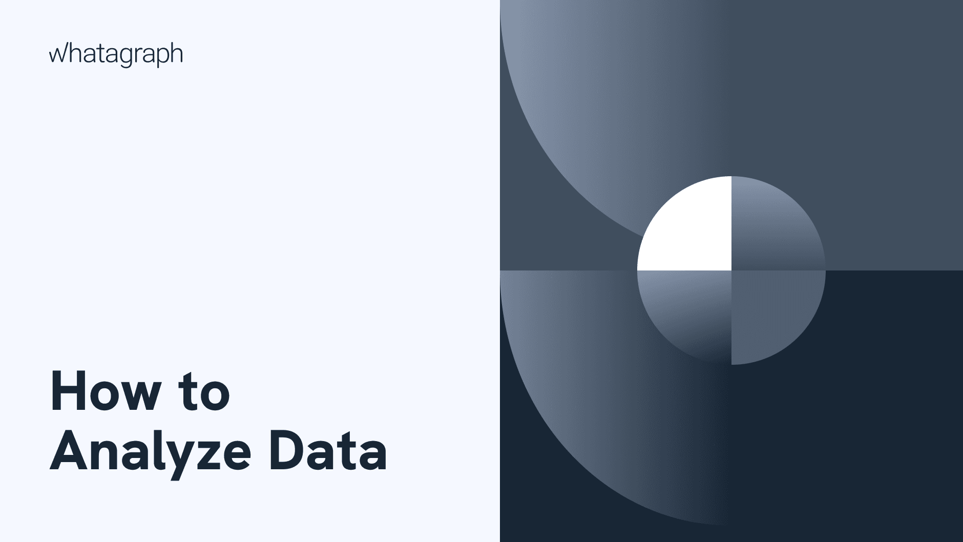 Learn How to Analyze Data in 7 Strategic Steps | Whatagraph