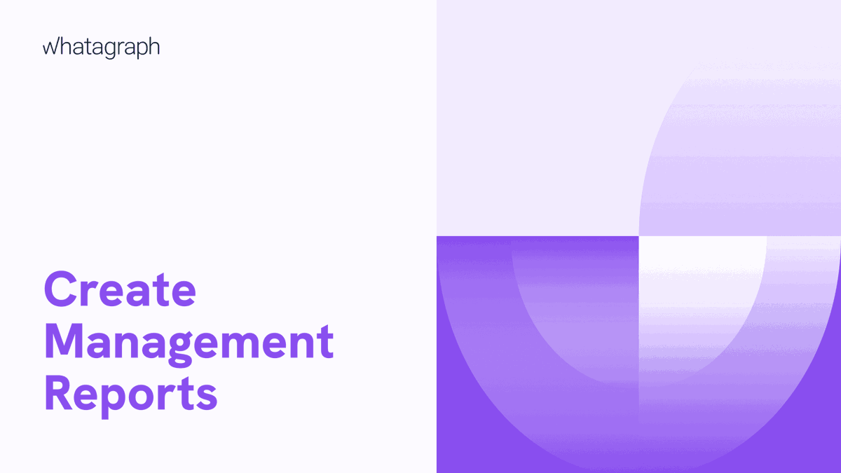 What Are Management Reports and What Should They Include? | Whatagraph