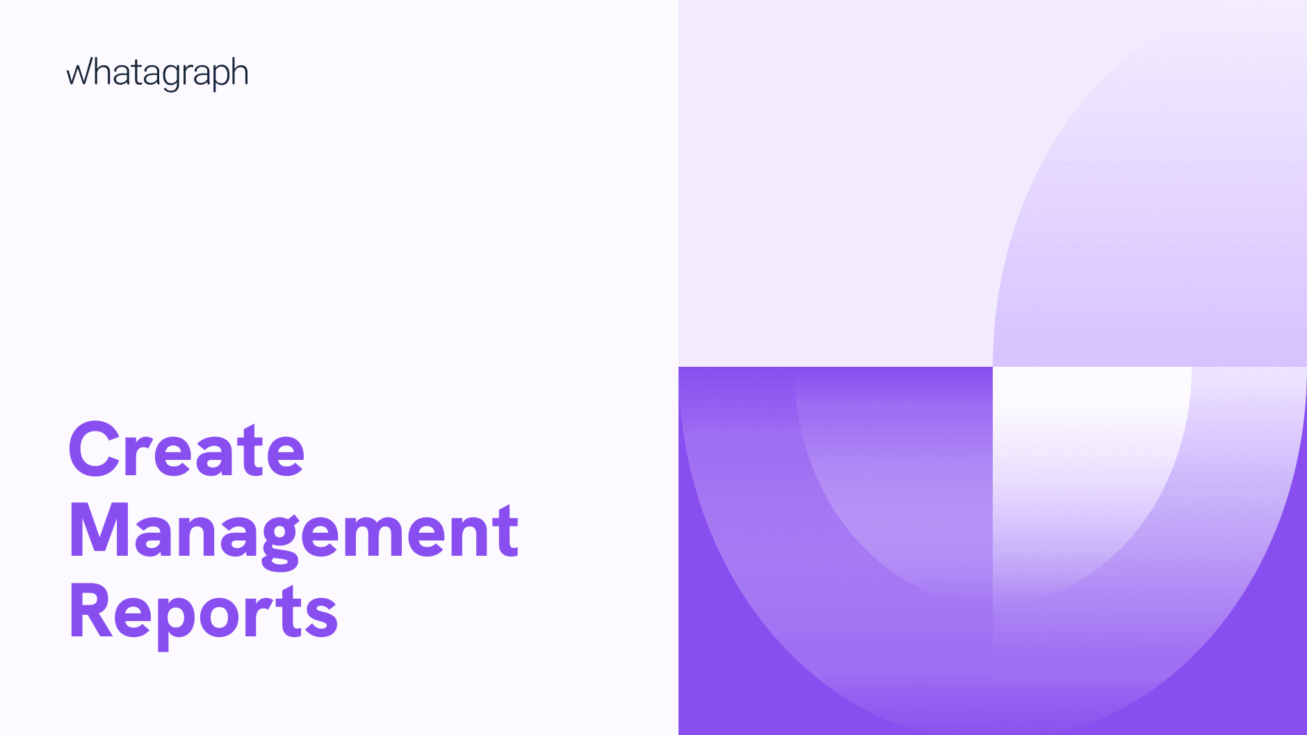 What Are Management Reports and What Should They Include? | Whatagraph