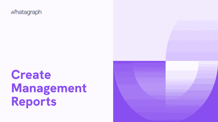 What Are Management Reports and What Should They Include? | Whatagraph
