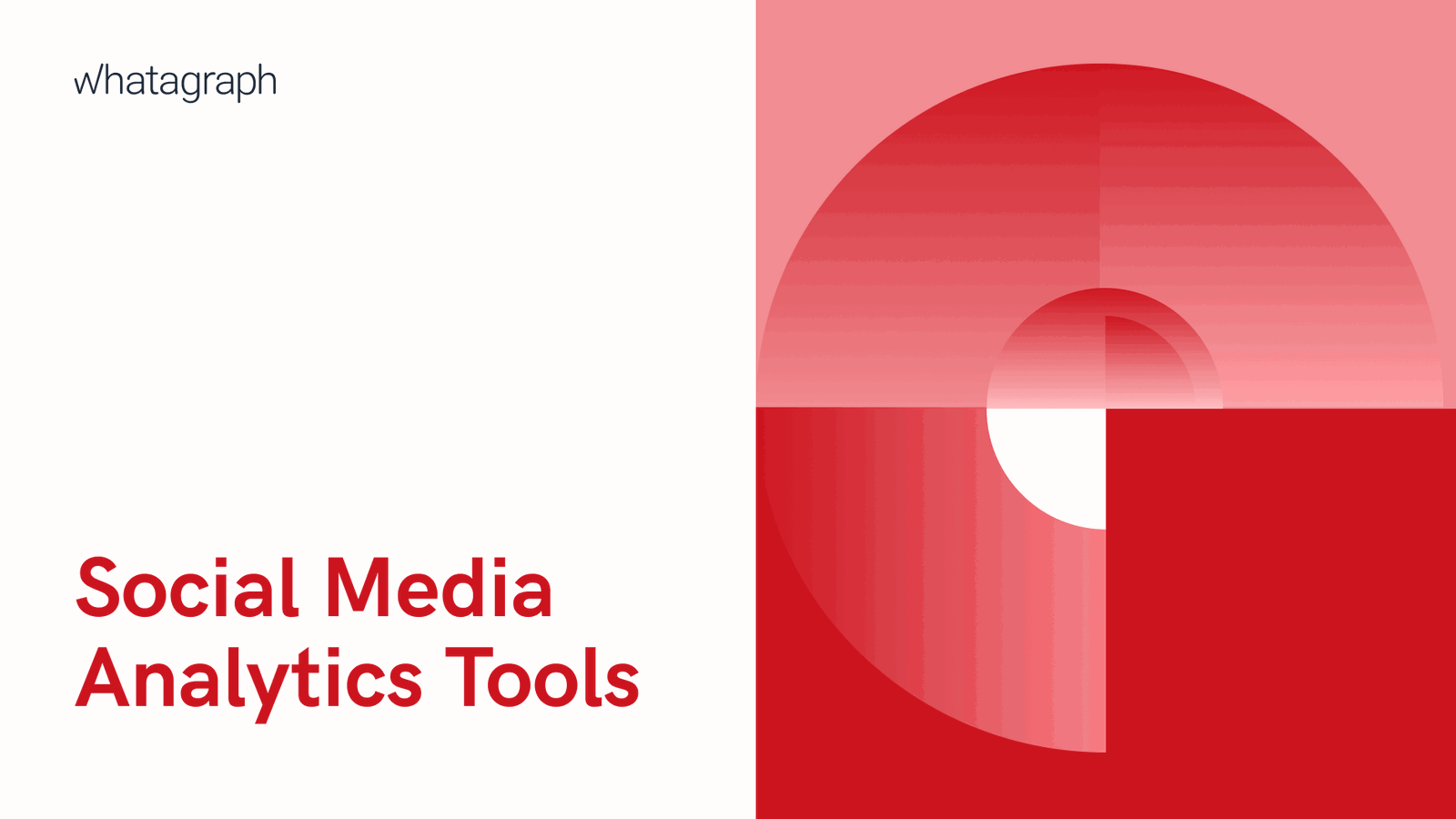 19 Best Social Media Analytics Tools for Marketers in 2025 | Whatagraph