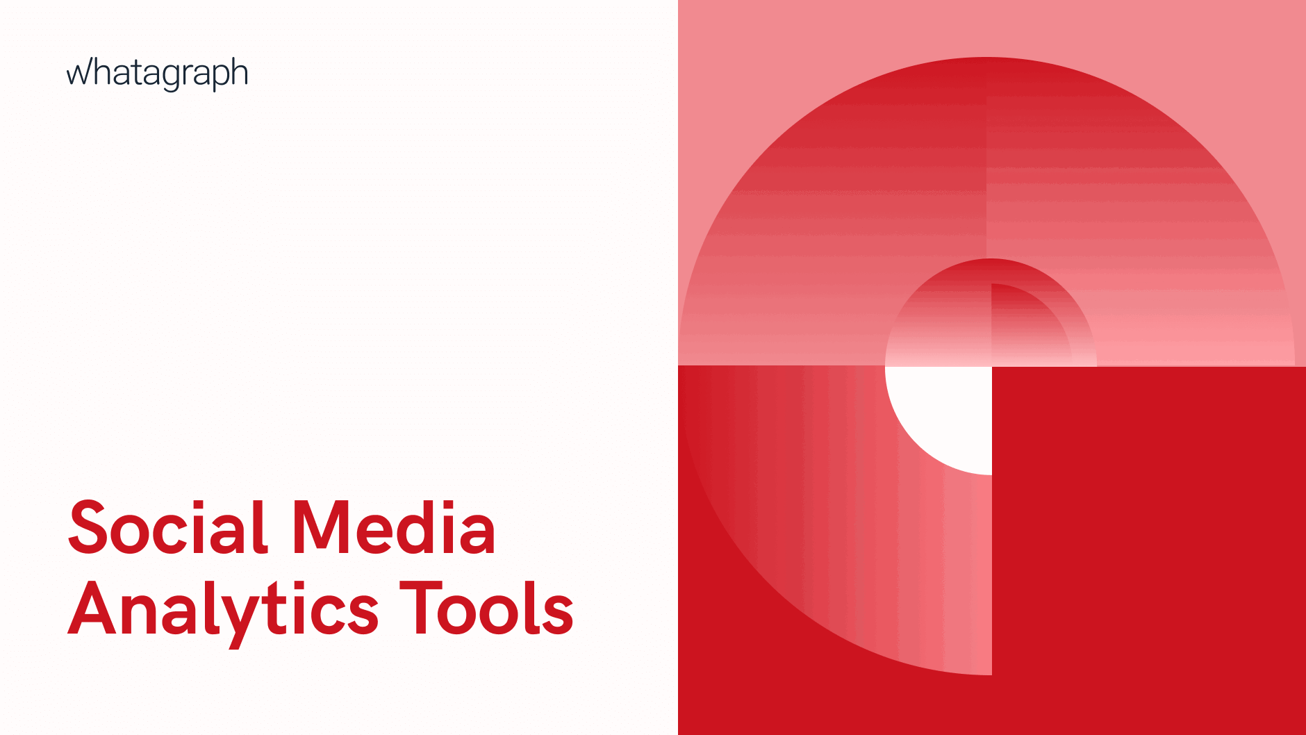 19 Best Social Media Analytics Tools for Marketers in 2025 | Whatagraph