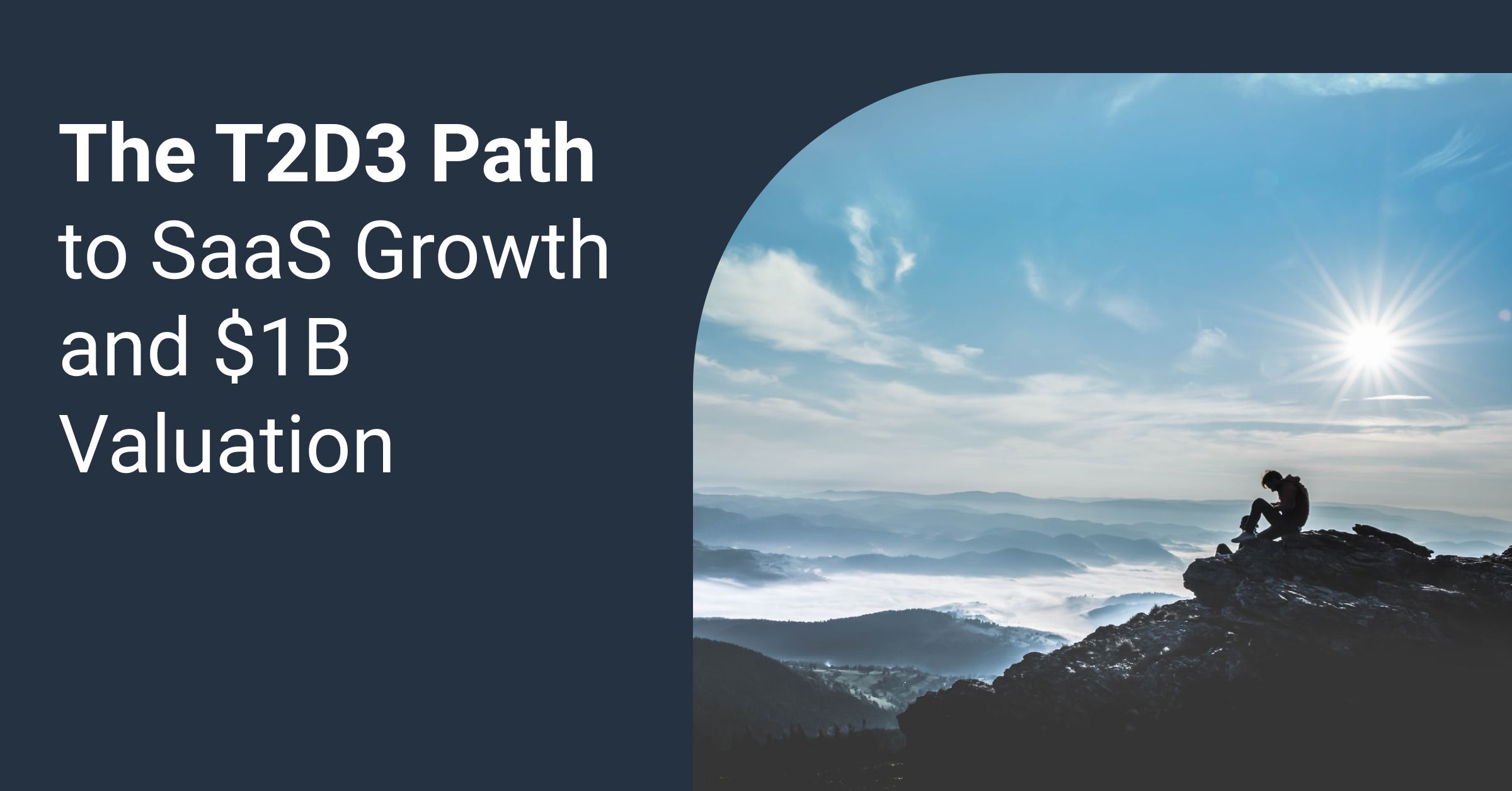 T2D3 framework: how startups hit $1B value in 5 years | Whatagraph