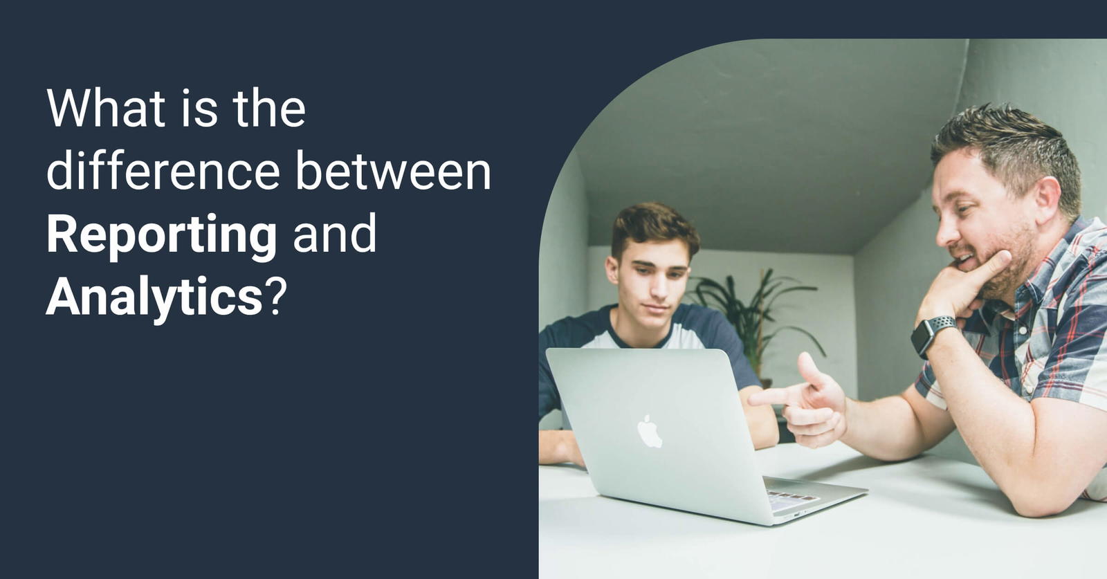 What Is The Difference Between Reporting And Analytics Whatagraph what-is-the-difference-between-reporting-and-analytics-whatagraph